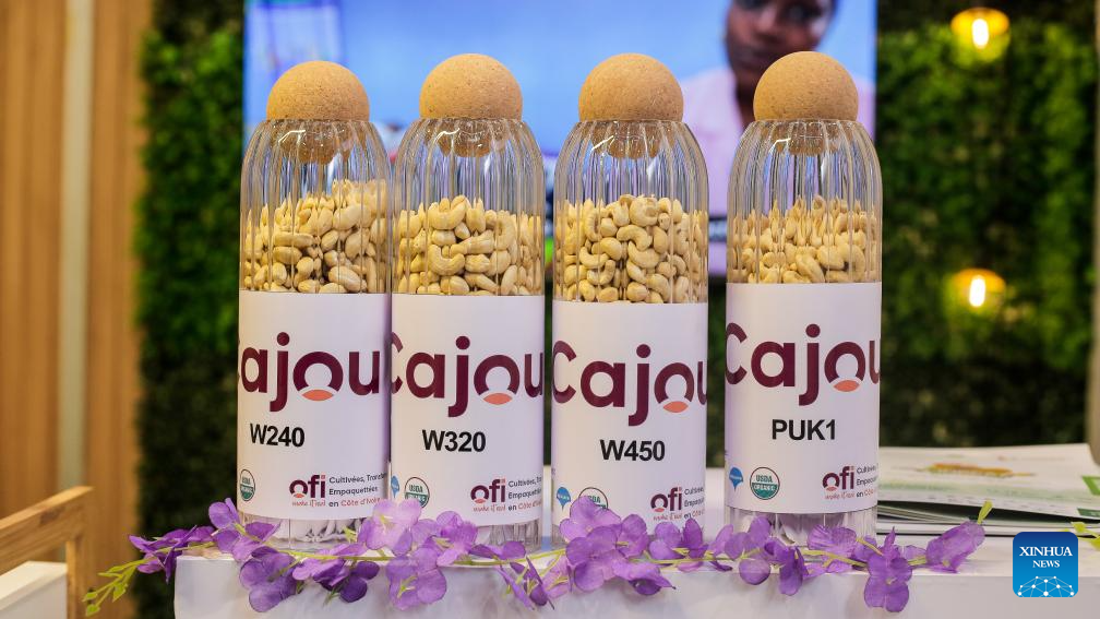National Cotton and Cashew Producers' Day of Cote d'Ivoire held in Abidjan-Xinhua